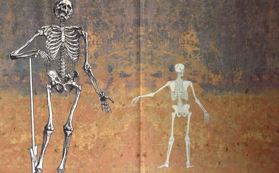 Human Anatomy In The Romantic Style William Davies King